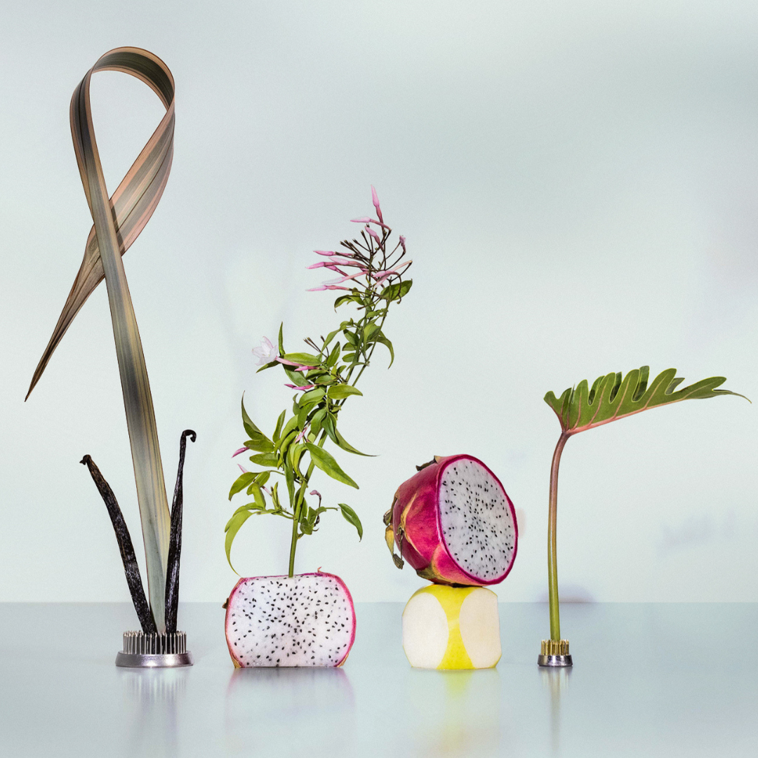 Pink Palm Eau de Parfum | Good Chemistry